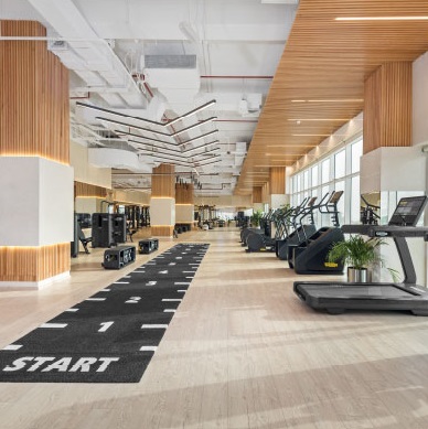 Our Projects | SHELTER Group Transforming Spaces